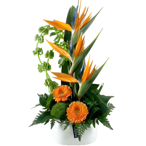 Spring Flowers Arrangements | Arum Lily Flower Shop